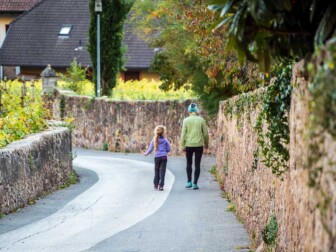 Herbstrundwanderung in Terlan